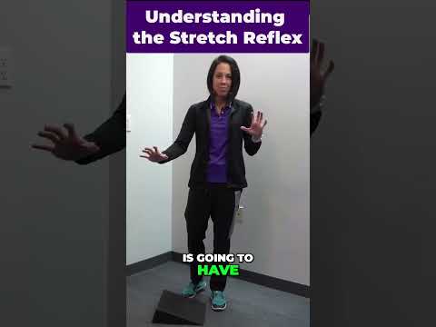 Understanding the Stretch Reflex Mechanics & Impacts