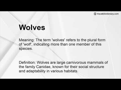 Wolves Meaning
