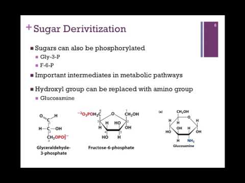 076-Reducing Sugars