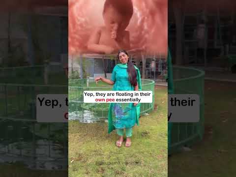 What is Amniotic fluid made from ?