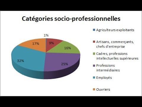 Les catégories socioprofessionnelles en France
