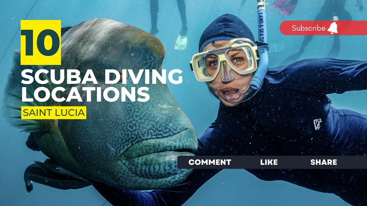 [2023] Saint Lucia Dive Sites That Will Blow Your Mind: Our Top 10 Scuba Diving Locations
