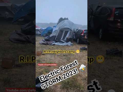 #2023 #electricforest #storm #festival #forestfamily #dailybread #music