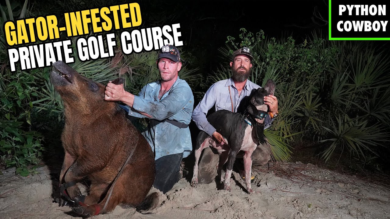 Hog Hunting a Private Florida Golf Course Surrounded by Gators