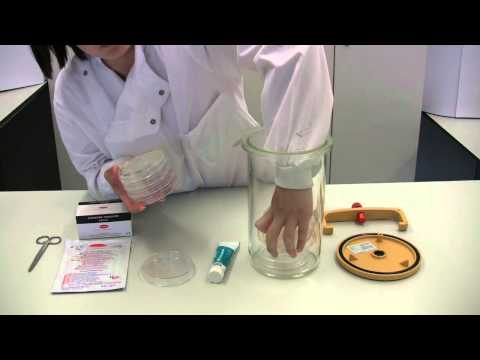 Laboratory Jars - Lab Jars Latest Price, Manufacturers & Suppliers