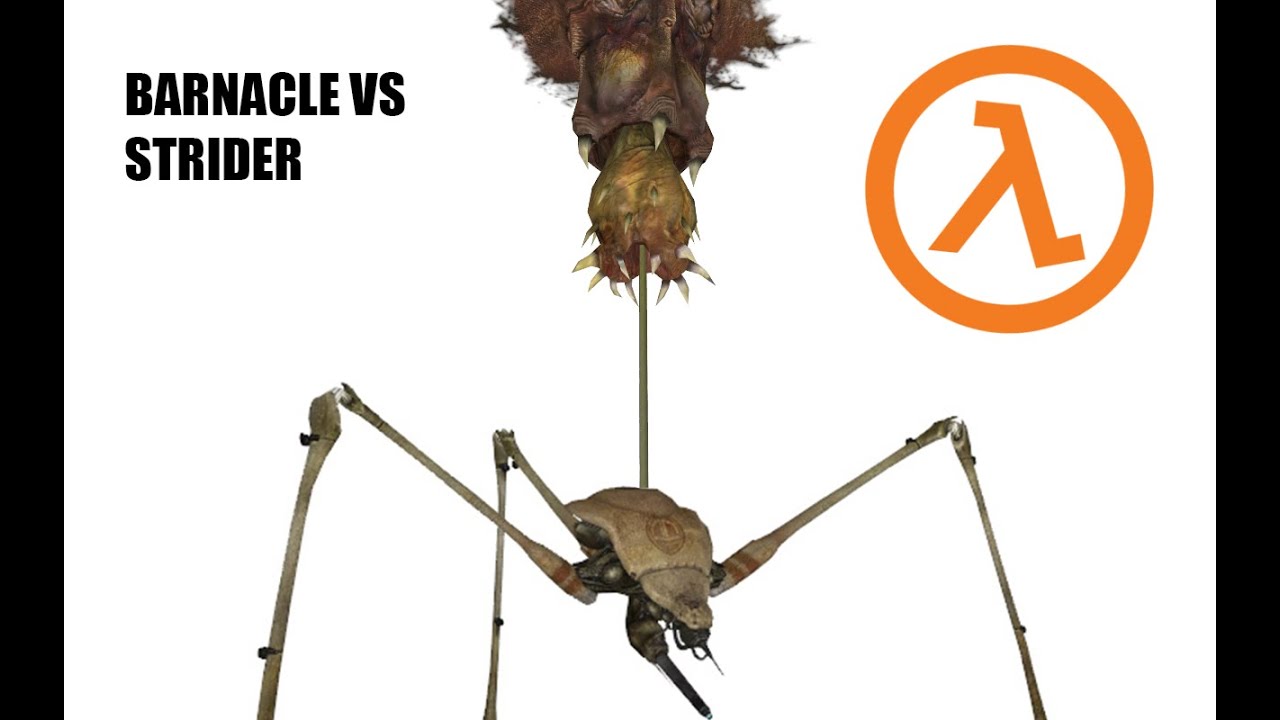 Barnacle vs Strider [HALF LIFE 2]