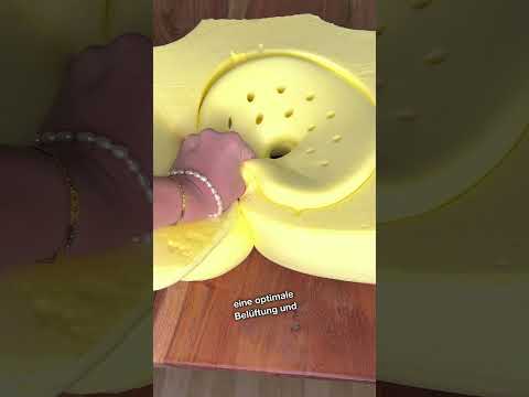 SCHMETTERLINGSKISSEN VON EULIN® - Memory-Foam-Kissen - Die Wunderwaffe für ergonomischen Tiefschlaf