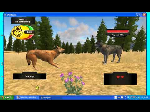 how to get a mate in wolfquest