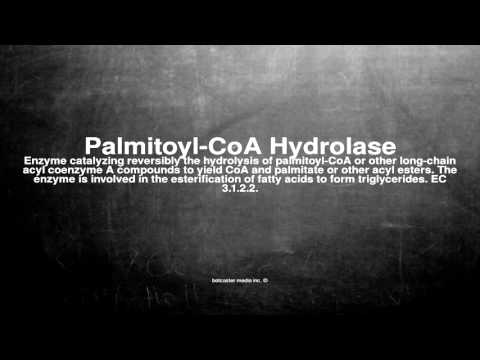 Medical vocabulary: What does Palmitoyl-CoA Hydrolase mean