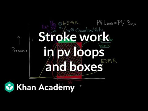 Stroke work in PV loops and boxes Video Lecture - Class 1