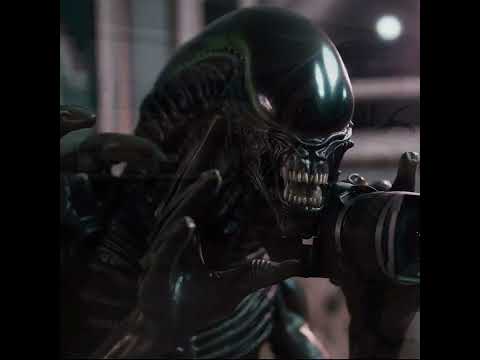 The secret lives of Xenomorphs #Aliens #Movie #Funny