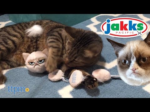 Grumpy Cat Annoying! Plush Cat Wand from Jakks Pacific