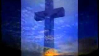 Manuscript Two: Soft, Warm, Fuzzy, and a bit Stinky - Arrow 18 Mission ...