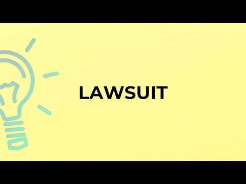 What is the meaning of the word LAWSUIT?