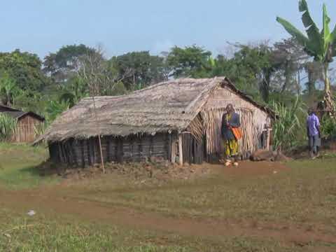 The Voice, Ng贸l贸 people, South West Cameroon.
