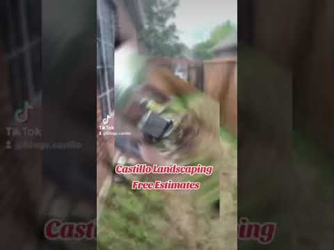 Castillo Landscaping services