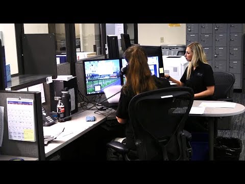 Inside the City: Police Records Specialist