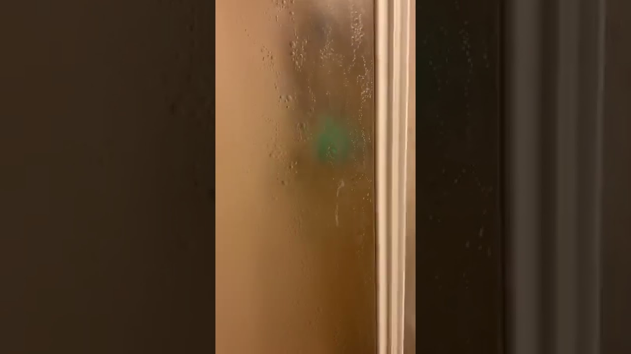 Cabin 6332 - Ocean View Balcony - Independence of the Seas