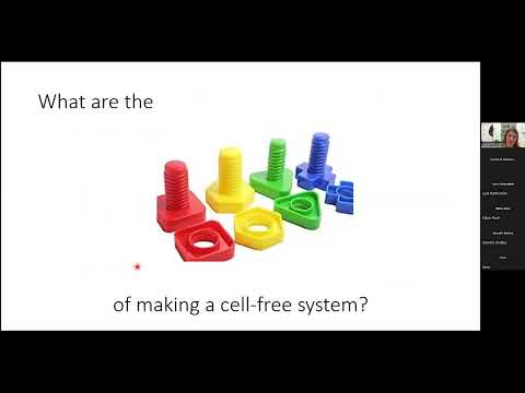 Build-a-Cell seminar Karen Polizzi: Developing eukaryotic cell-free protein synthesis systems