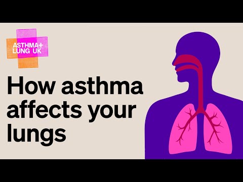 How asthma affects your lungs | Asthma + Lung UK