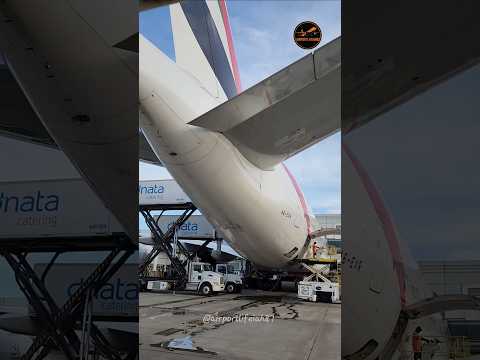 Hard Work , Ramp Operation , Airbus A380-800 , Emirates , Closeup , The King of the Skies