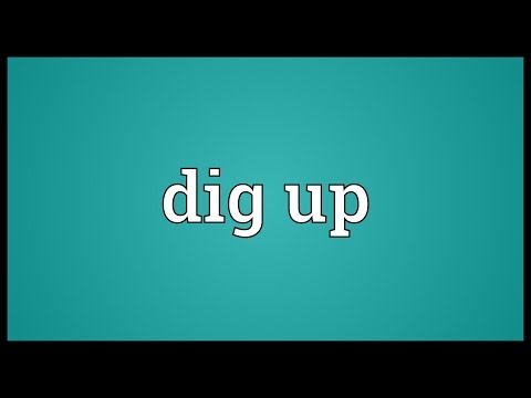 Dig up Meaning