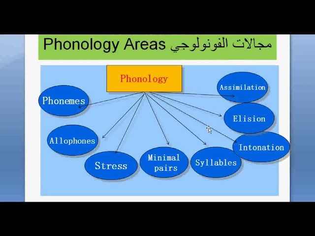 Understanding Phonology: A Comprehensive Guide to Lesson 1 | Galaxy