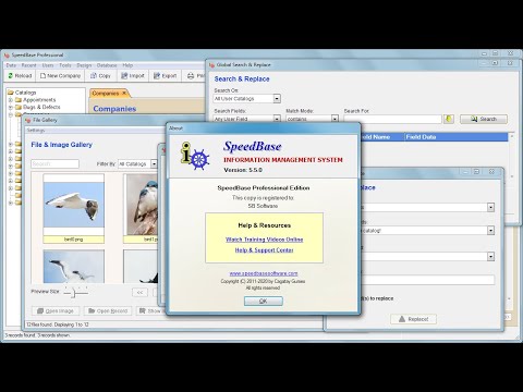 SpeedBase - Custom Database Software