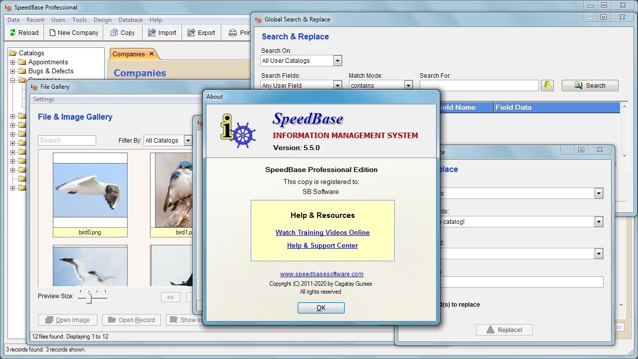 SpeedBase - Custom Database Software