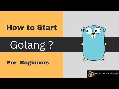 Golang Tutorial For Beginners | Go Programming Language Tutorial | Basic about Go