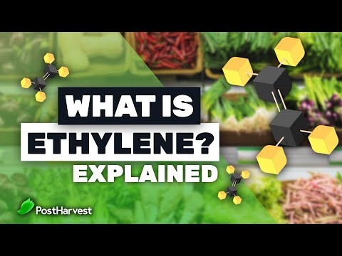 What is Ethylene?