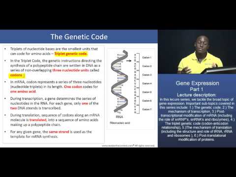 BMAT®: The Expression of Genes - Part 1 - The triplet genetic code