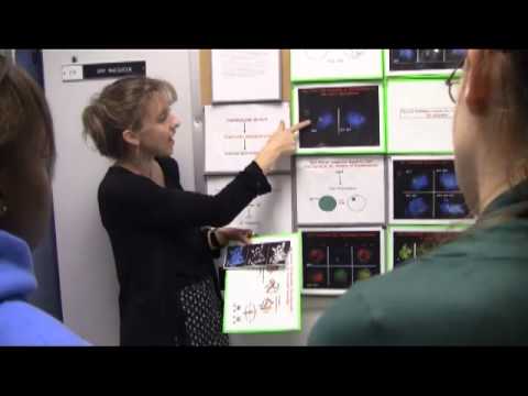 A Lab Tour in the Molecular Biology and Biochemistry Department
