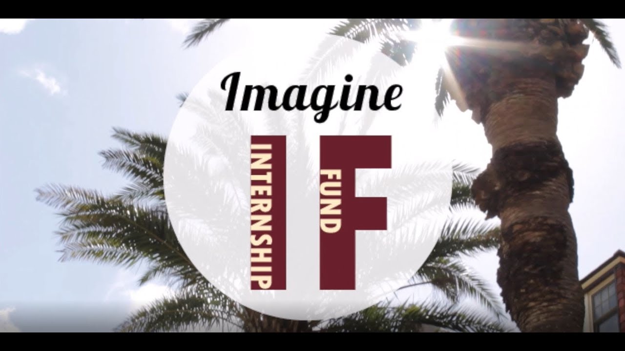 FSU Internship Fund
