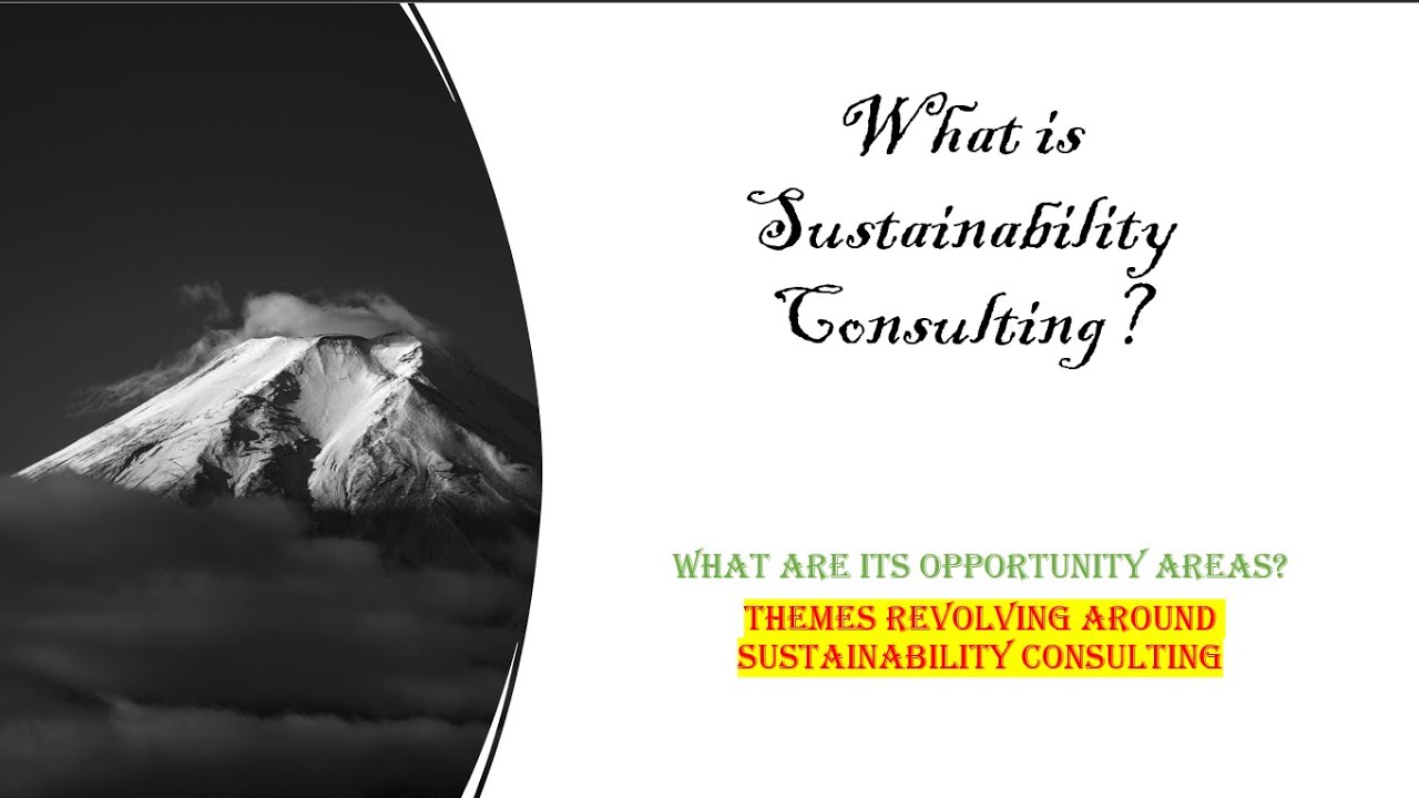 What is Sustainability Consulting? What are its OPPORTUNITIES AREAS?