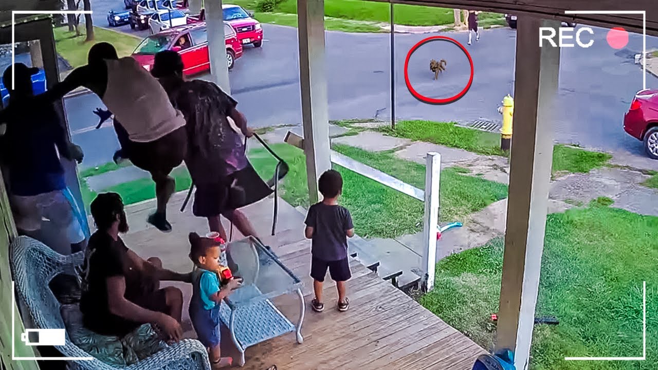45 Incredible Moments Caught on CCTV Camera