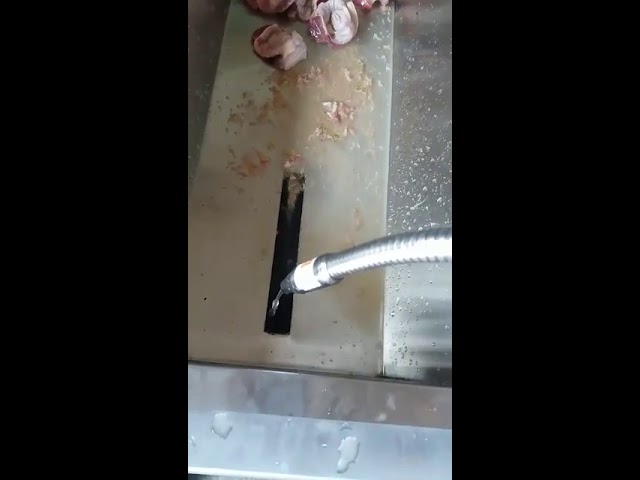 GIZZARD PEELER - Dual Blade Gizzard Peeler Machine (Cut Open Gizzard ...