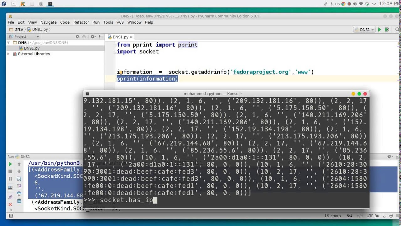43  Python network programming DNS