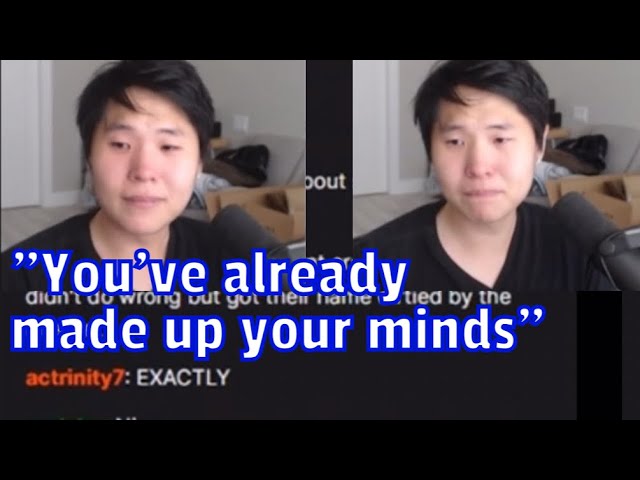 Why was Disguised Toast 'canceled' for his "problematic past ...