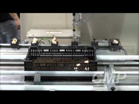 CMP: Automated Bulb Planting System