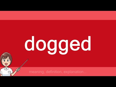 dogged