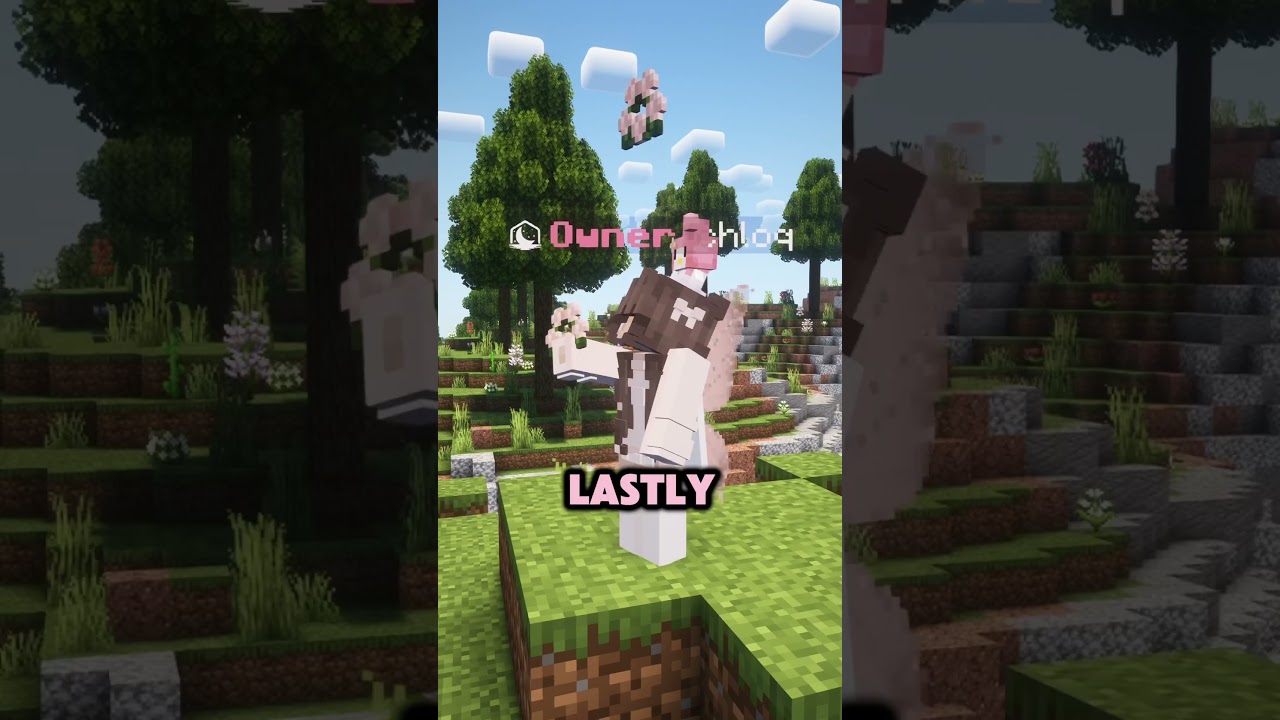 3 things i wished i knew before joining Faeries SMP! #bedrock #java #minecraft #smp
