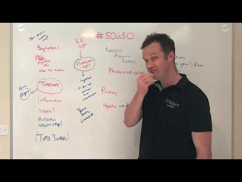 #50in50 Video 38 Photosensitisation in cattle