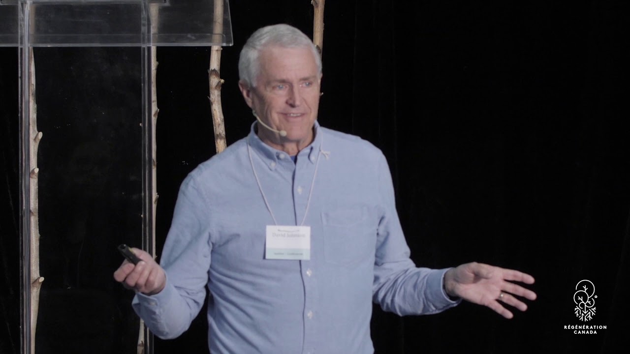 David Johnson | LSS 2019