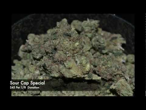 RateMyWeed: Eden Therapy Collective Tour