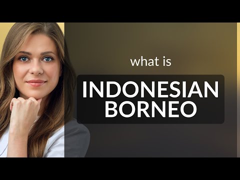 Indonesian borneo — definition of INDONESIAN BORNEO