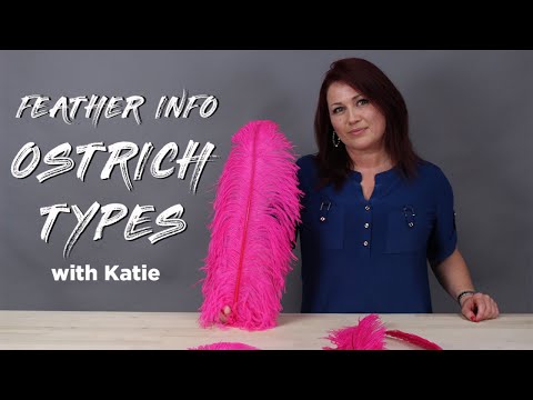 ZUCKER® Ostrich Feather Types & FAQ's | Get the FAQ's on the Best Variety of Ostrich Feathers!