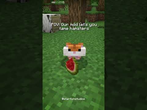 POV: Our mod let's you tame HAMSTERS????