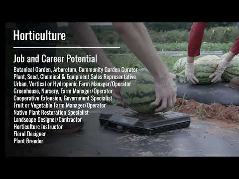 Horticulture at CAES