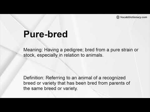 Pure-bred Meaning